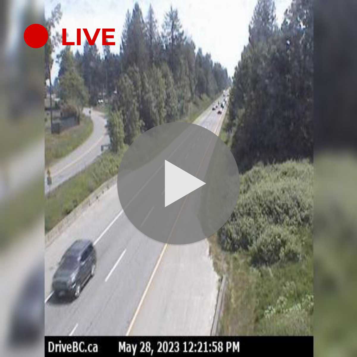 9 Best Abbotsford Webcams - HD, Live 24/7 | everyWebcam.com