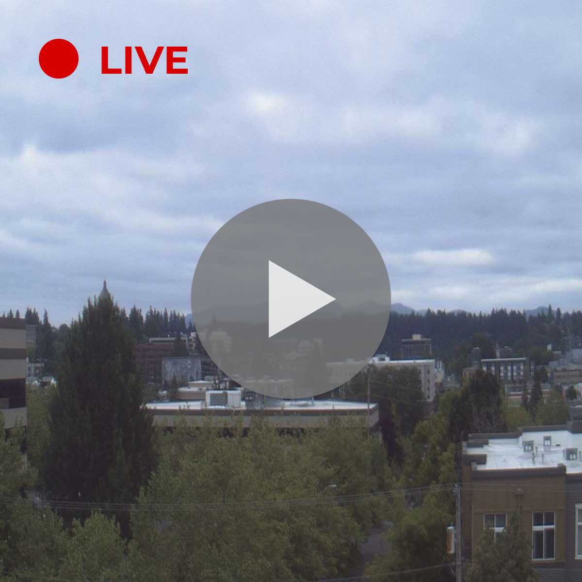 11 Best Olympia Webcams - HD, Live 24/7 | everyWebcam.com